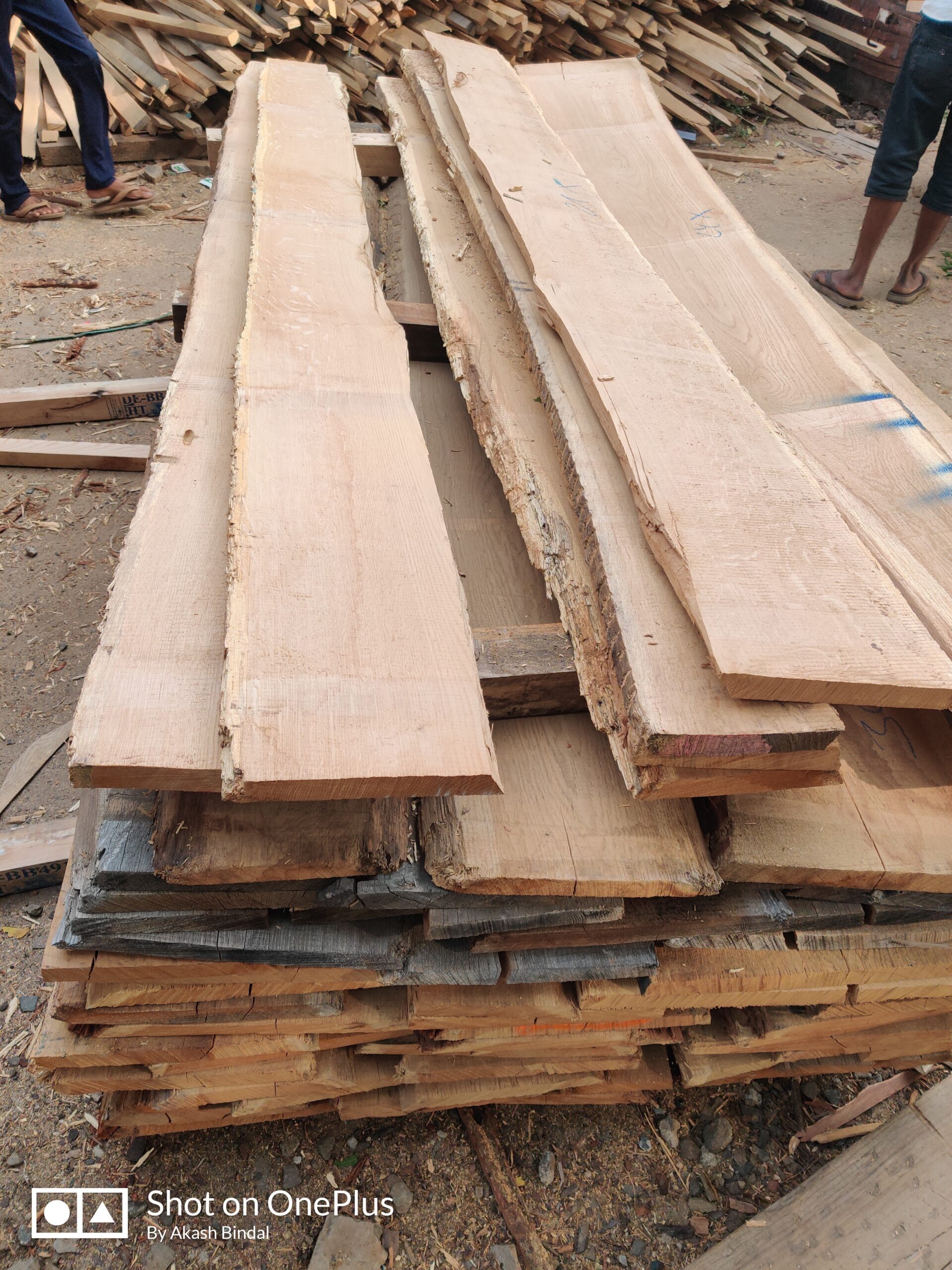 Premium Wood for Luxury Furniture in Goa Villas