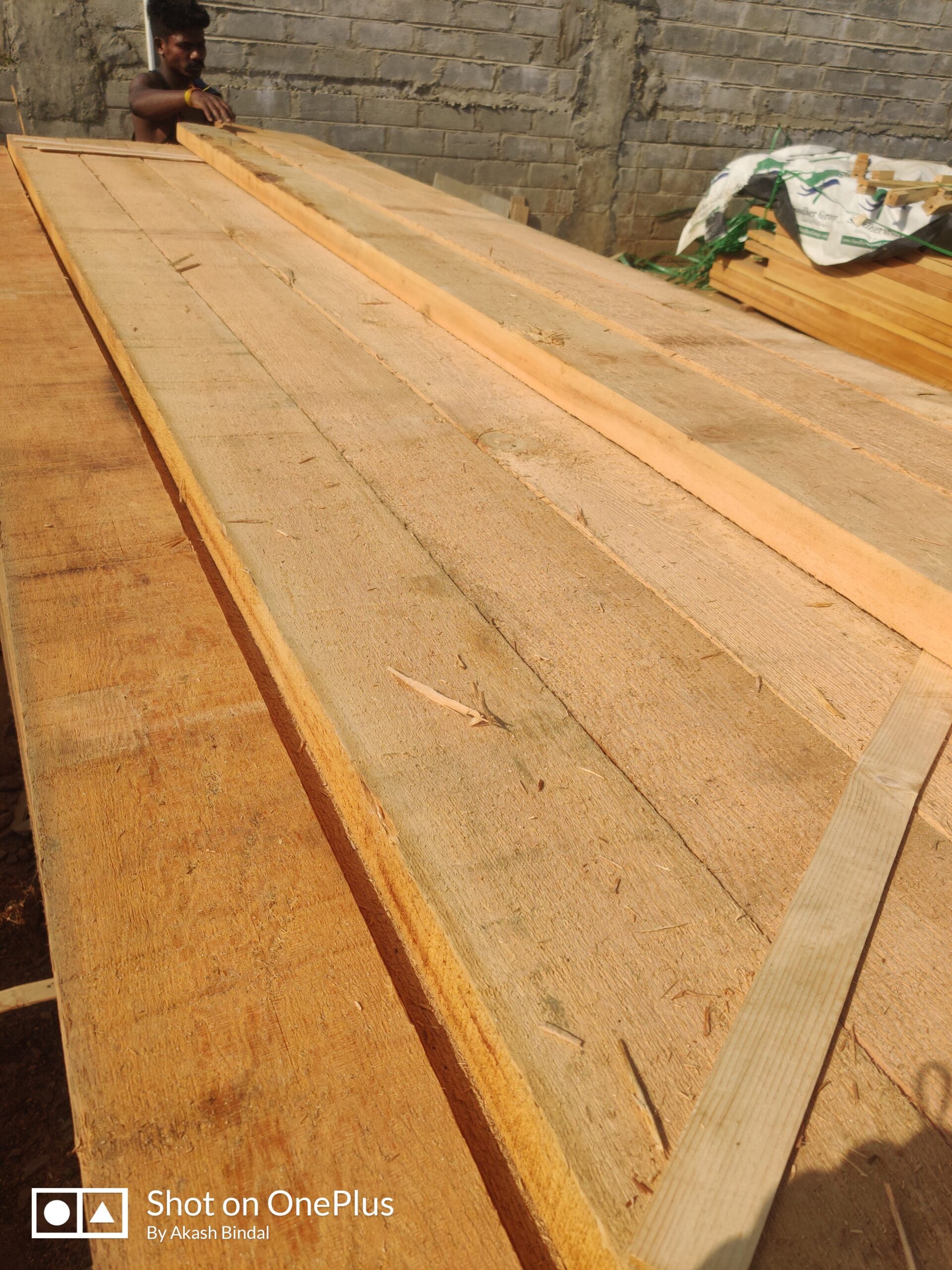 Douglas Fir Wood in Gujarat – Reldor Lifestyles